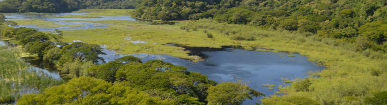 Economic value of wetlands in Costa Rica (Spanish) - Ecosystem Services ...