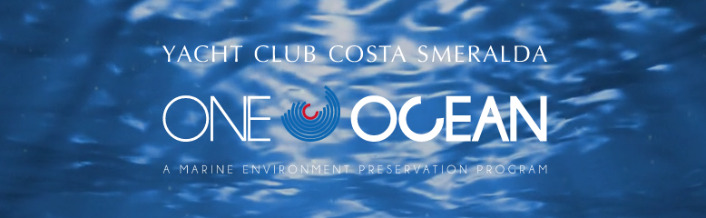 Marine ESP BWG participated in OneOcean Forum Event - Ecosystem ...