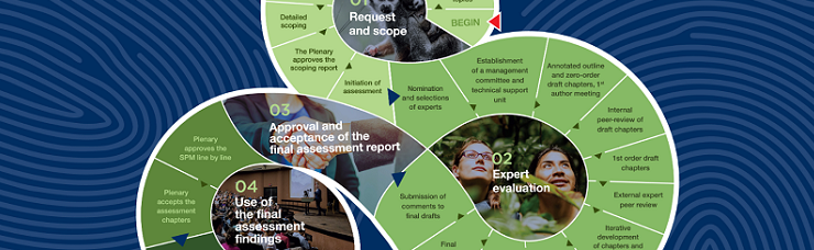 IPBES Global Assessment shows alarming decline in ecosystems and ...