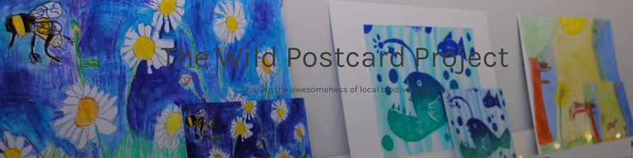 The Wild Postcard Project - art competition aims to showcase Irish and ...