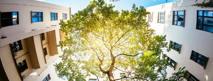 Nature In The City Turning Knowledge Into Urban Forestry Practice