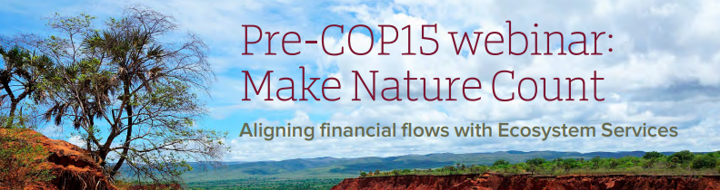 Pre-COP15 webinar: Make Nature Count. Aligning financial flows with ...